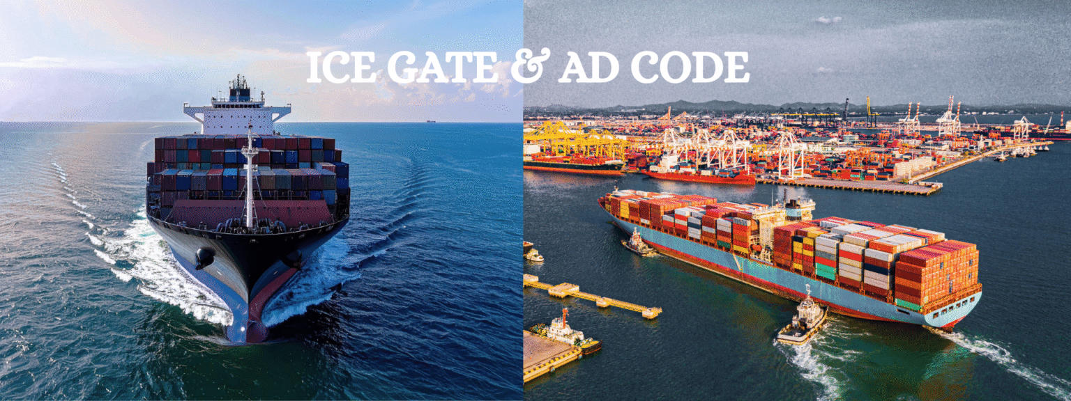 Complete Guide to ICEGATE & AD Code Registration for Exporters ...